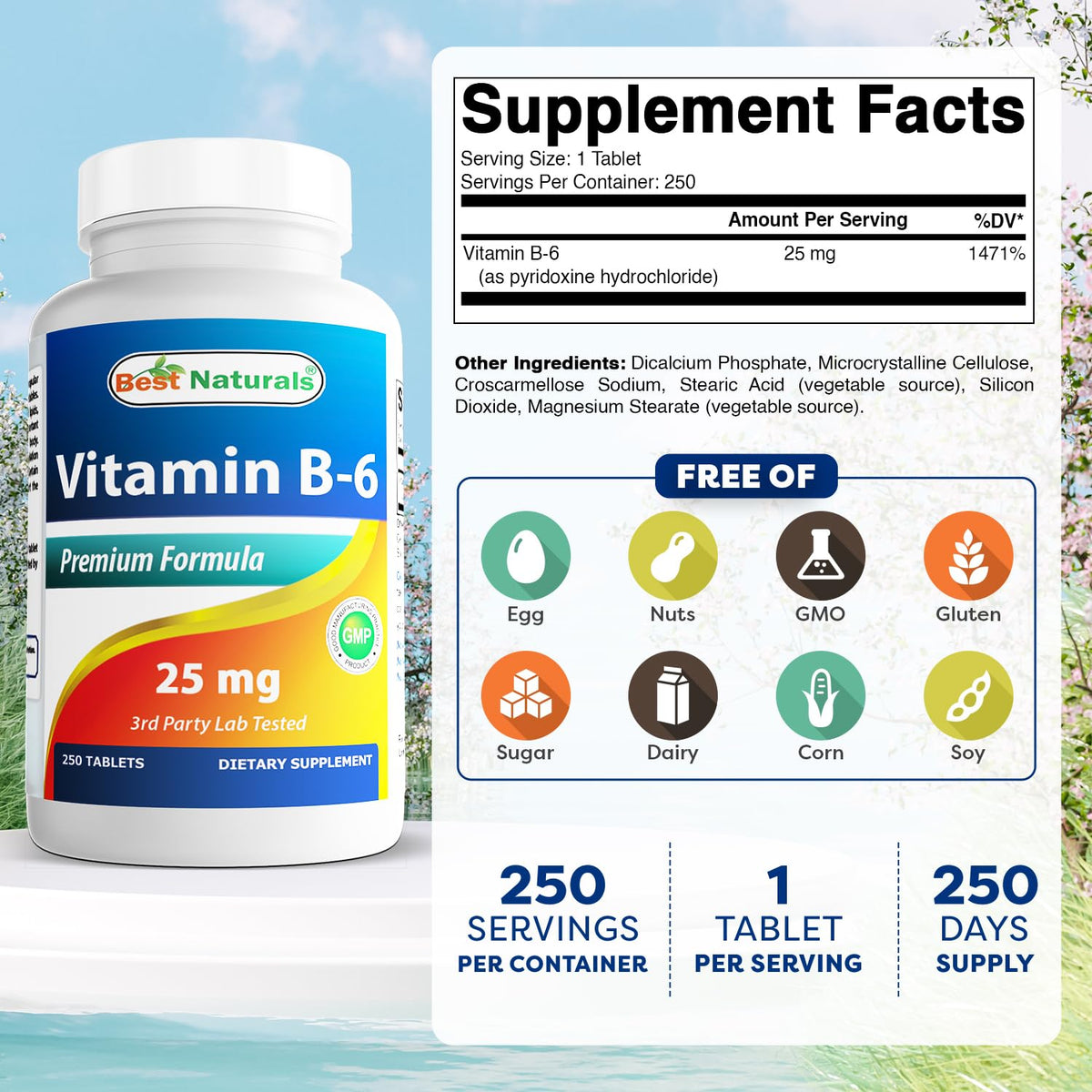 Best Naturals B6 supplement