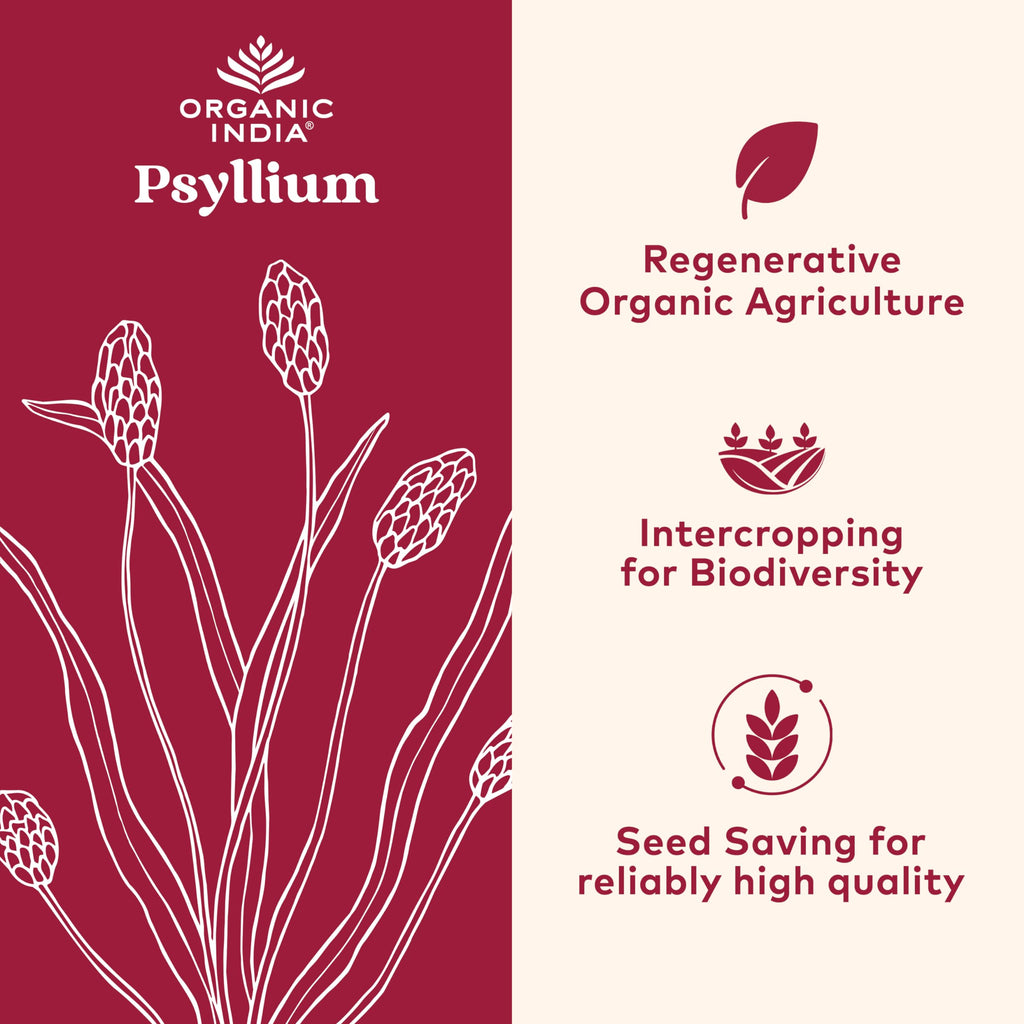best organic psyllium for constipation relief
