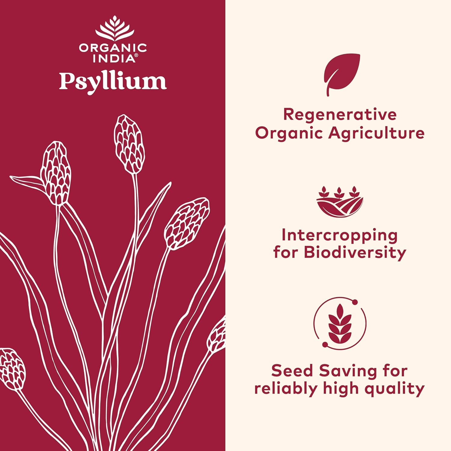 best organic psyllium for health