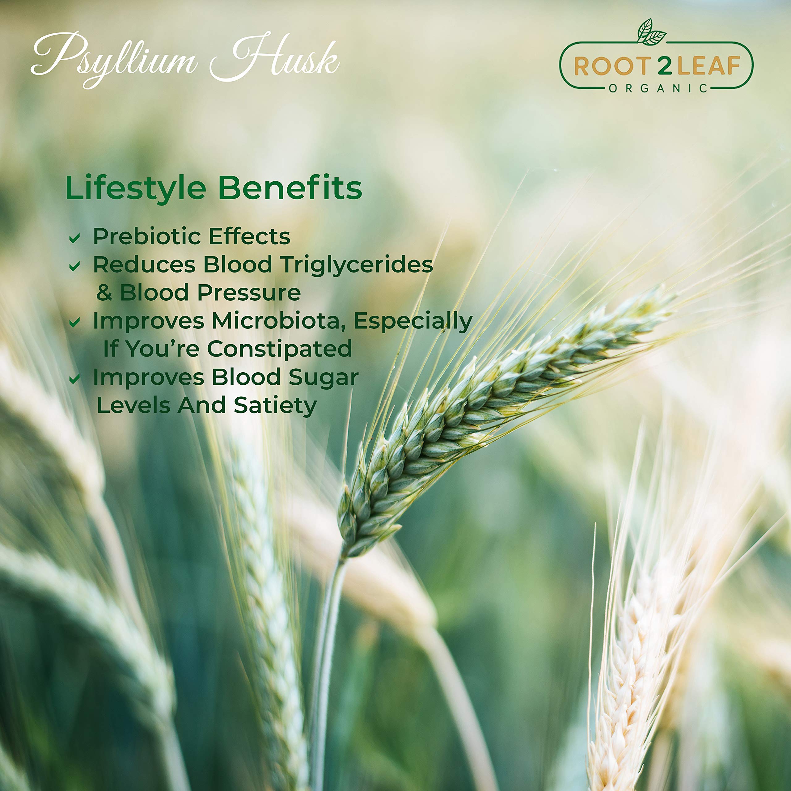 best organic psyllium for weight loss