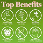 best prebiotics for digestive health
