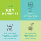 best prebiotics for digestive health