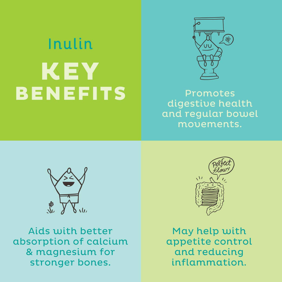 best prebiotics for digestive health