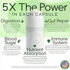 best prebiotics for digestive health
