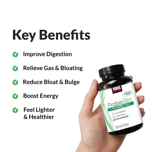 best prebiotics for digestive health