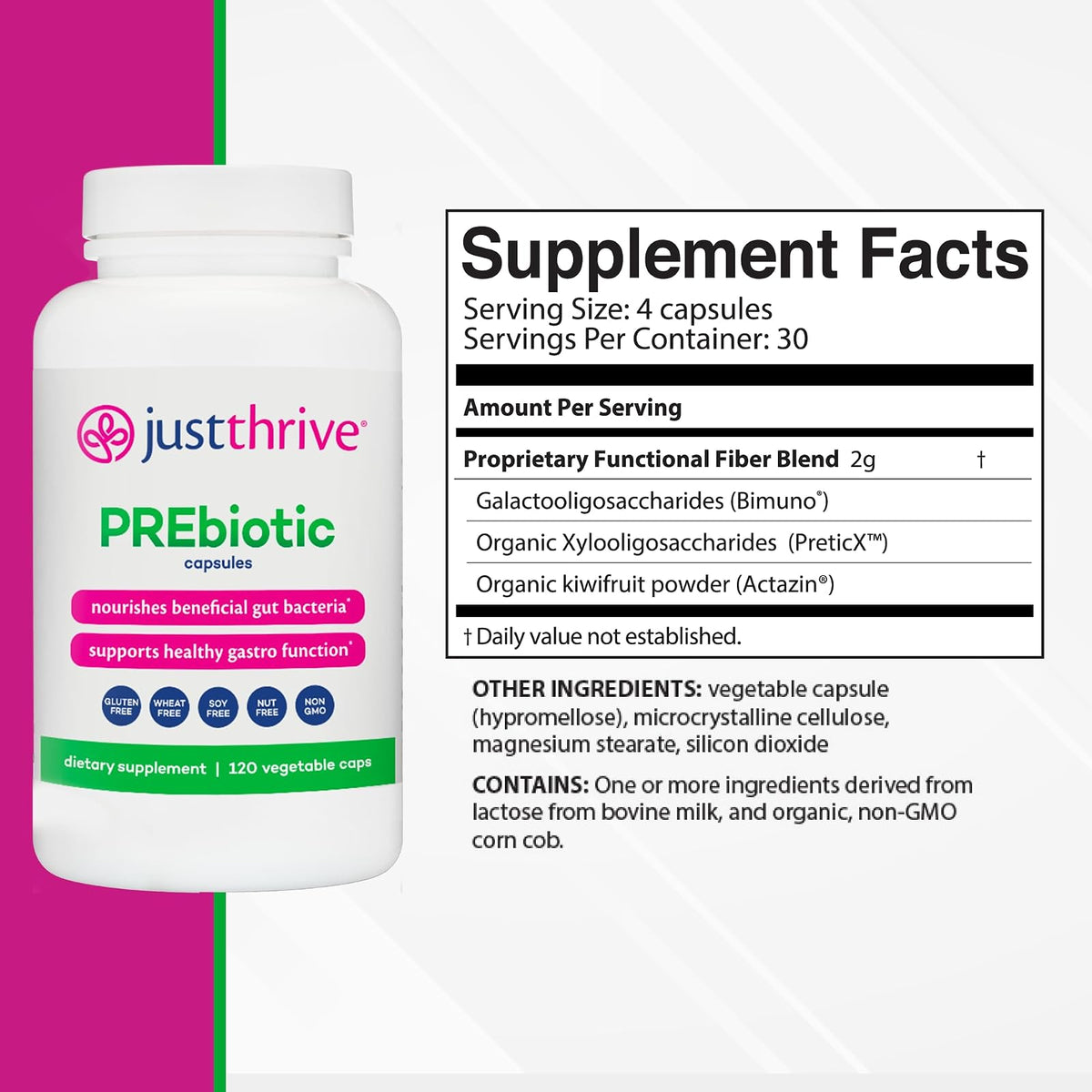 best prebiotics for digestive wellness