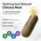 best prebiotics for gut wellness