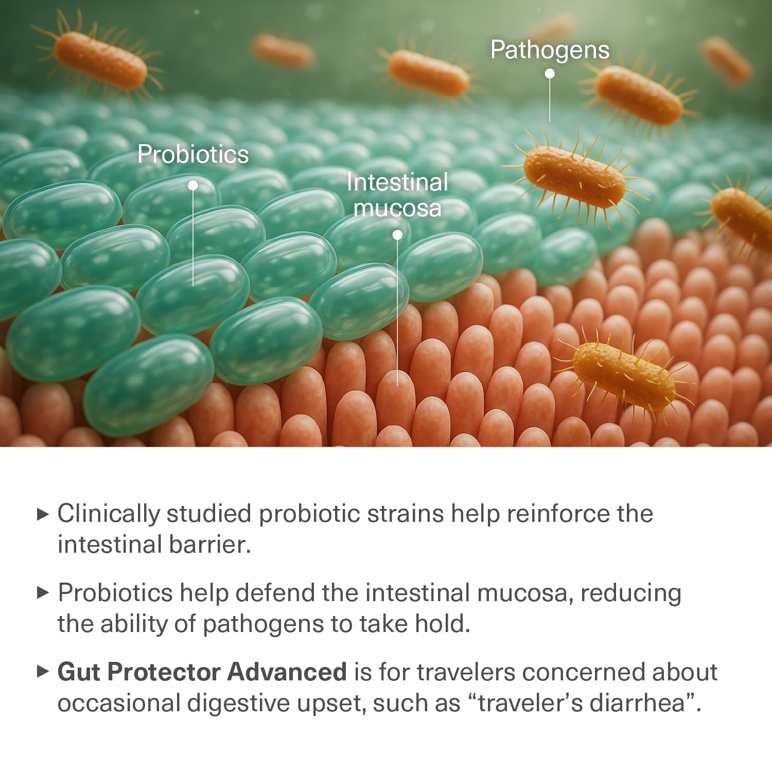 best probiotics for immune support