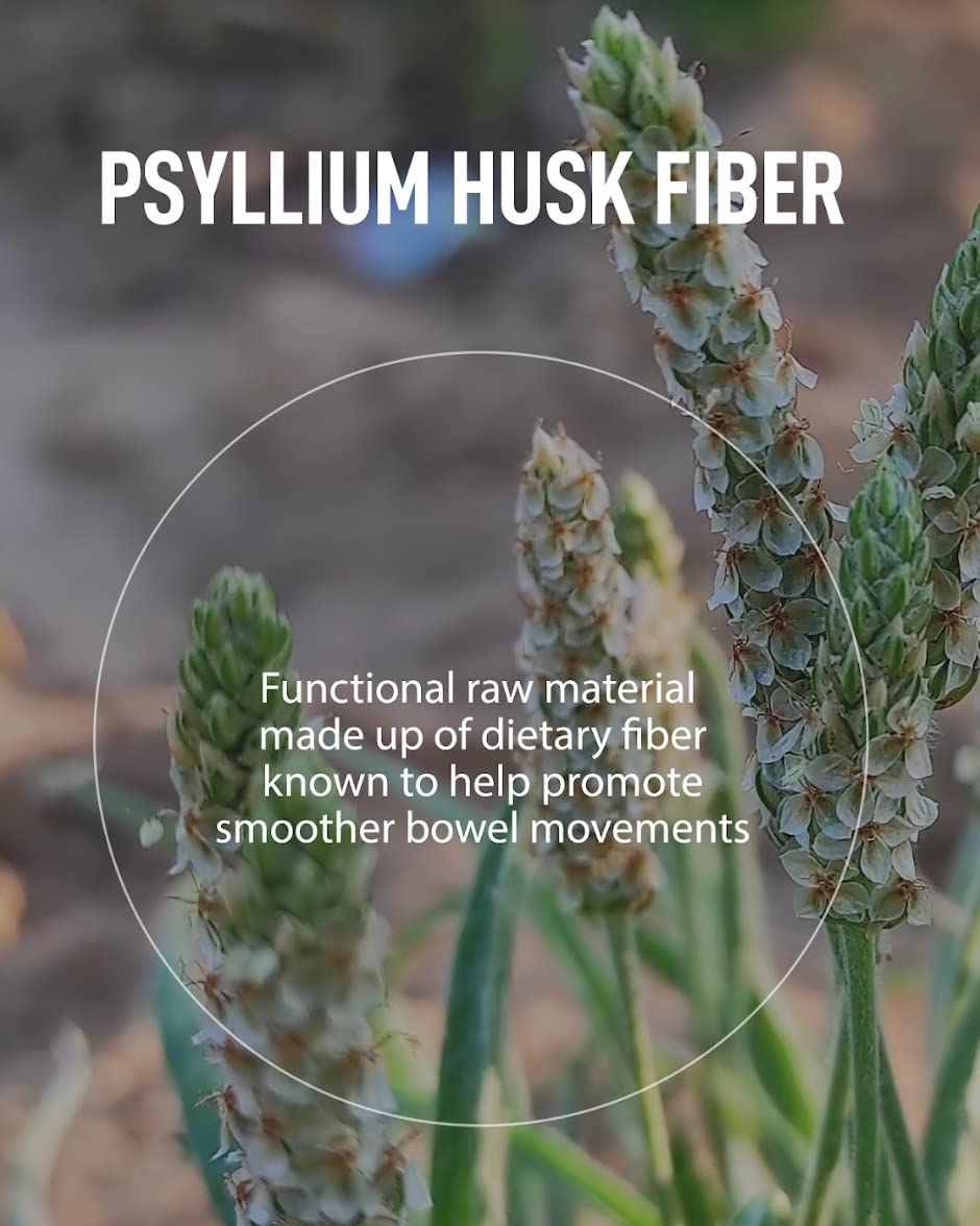best psyllium husk powder benefits
