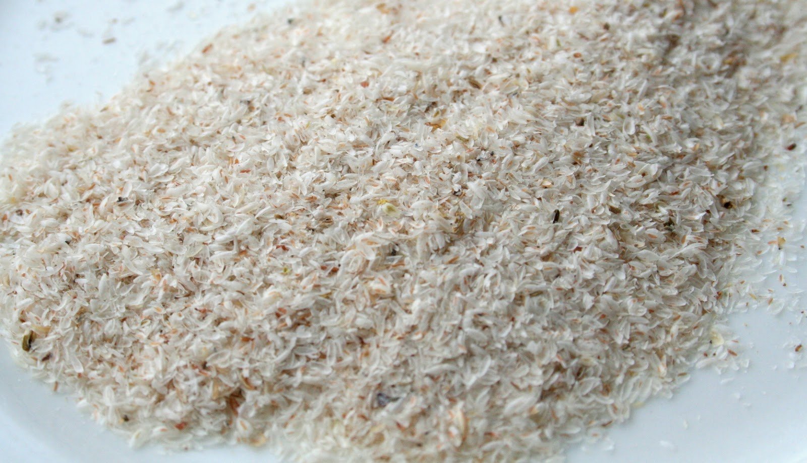 best psyllium husk powder for health