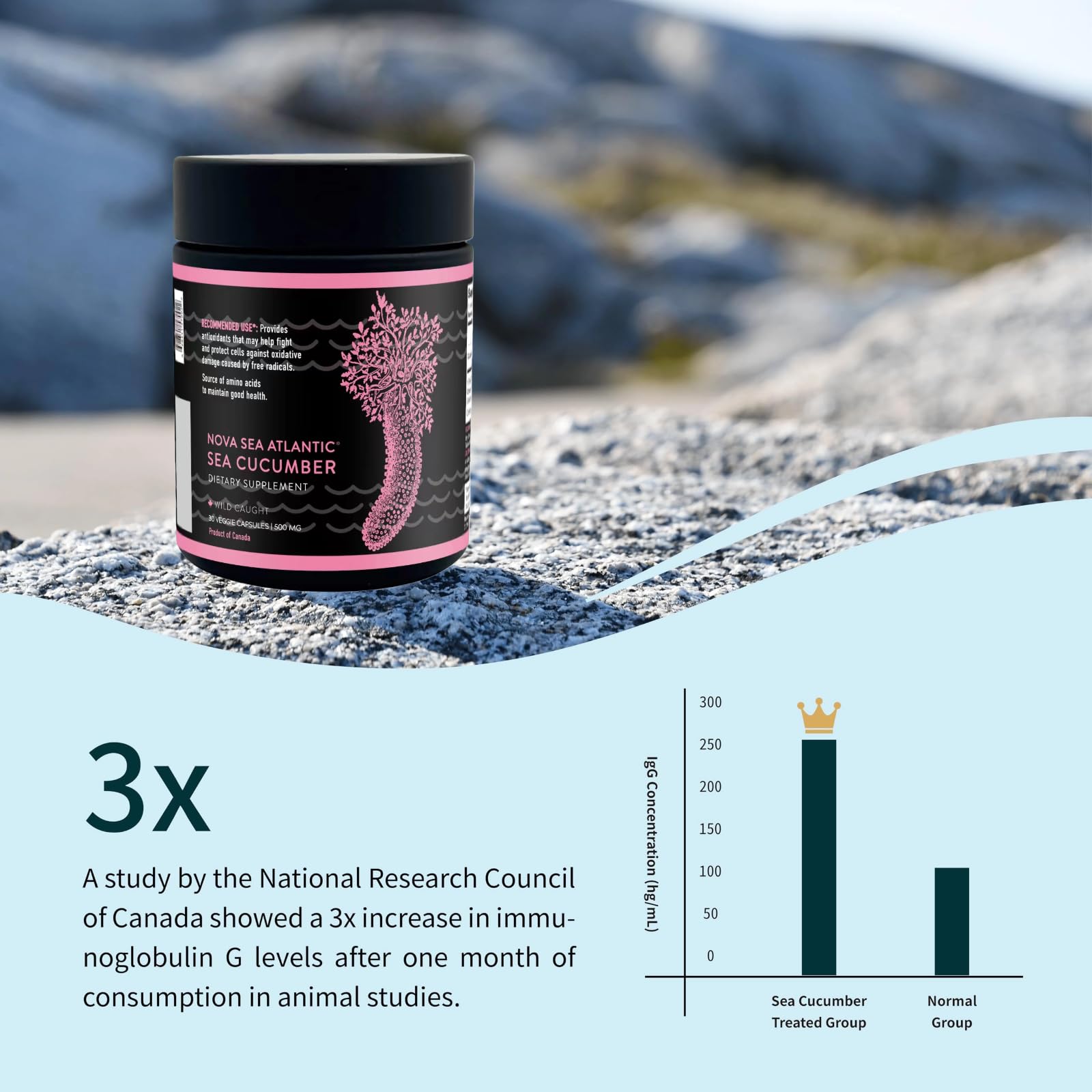best trace minerals for overall wellness