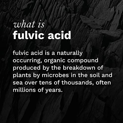 best trace minerals for wellness