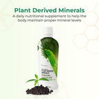 best trace minerals supplement for health