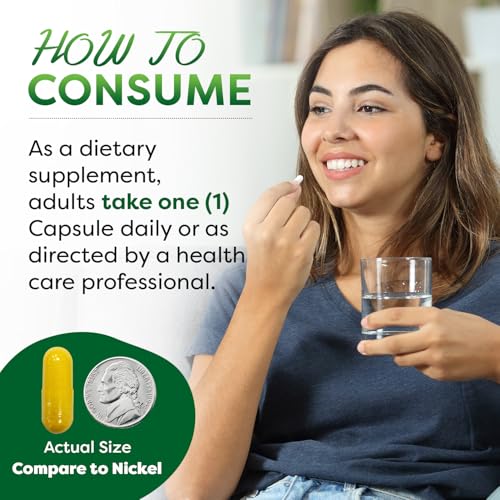 best vitamin B2 for metabolism