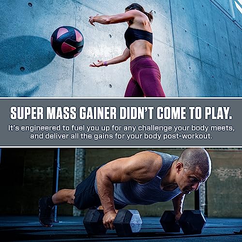 best weight gainers for serious lifters