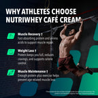 best whey protein for muscle recovery