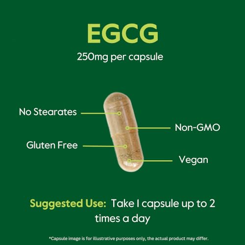 BESTVITE EGCG for daily wellness