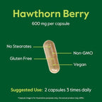 BESTVITE hawthorn extract benefits