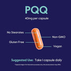 BESTVITE PQQ kids multivitamin option