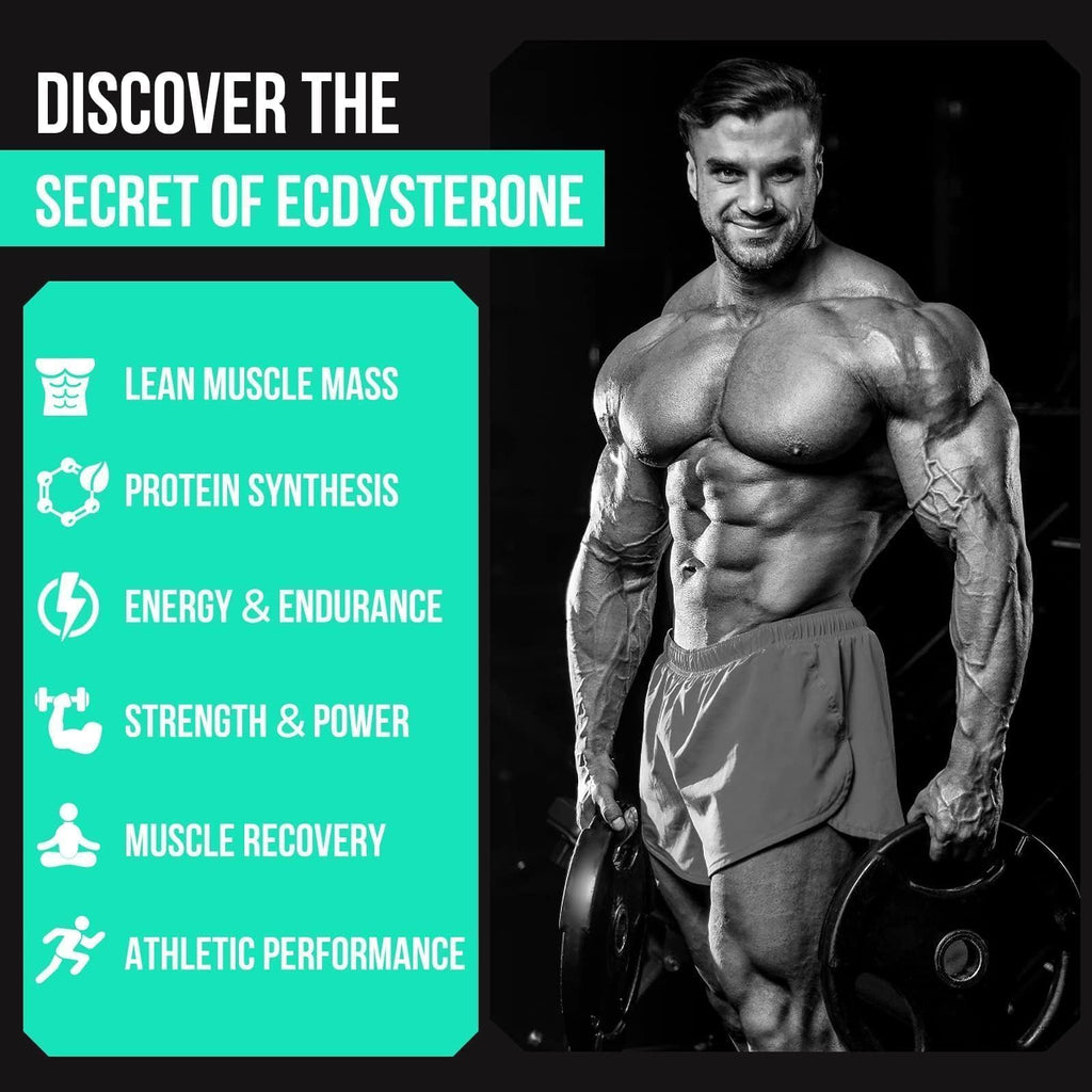 Beta Ecdysterone protein supplement benefits