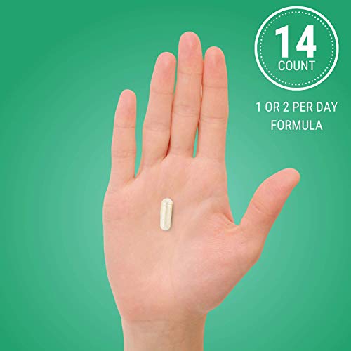 beta glucan for overall vitality