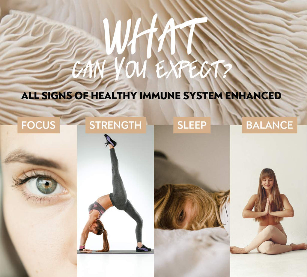 beta glucans for better immunity
