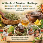 BEXPERTSUSA herbal infusion for health