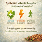 BexpertsUSA herbal tea for wellness