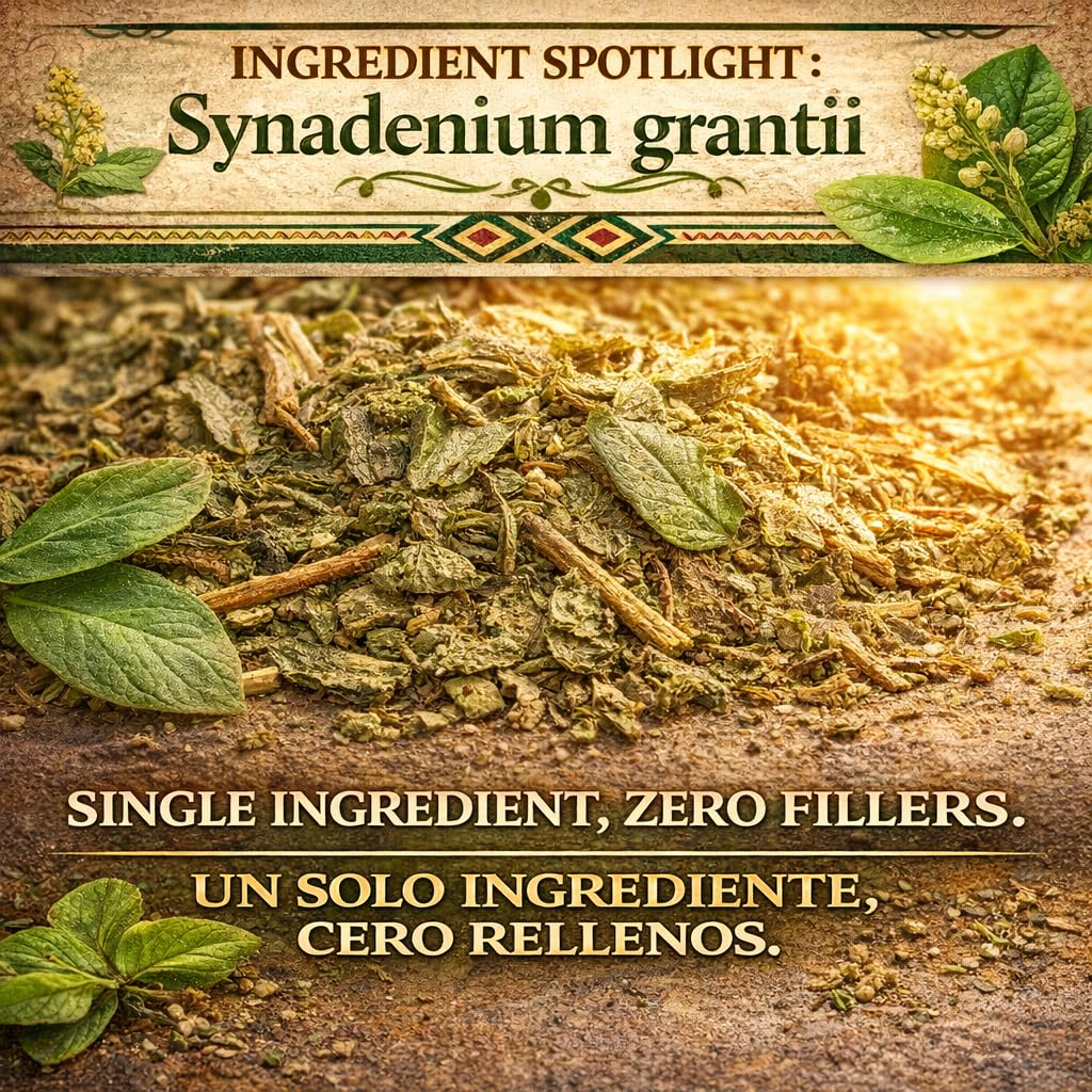 BEXPERTSUSA Moronel tea for wellness