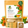 BEXPERTSUSA Muicle herbal tea bags