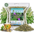 BEXPERTSUSA Ortiga herbal tea benefits