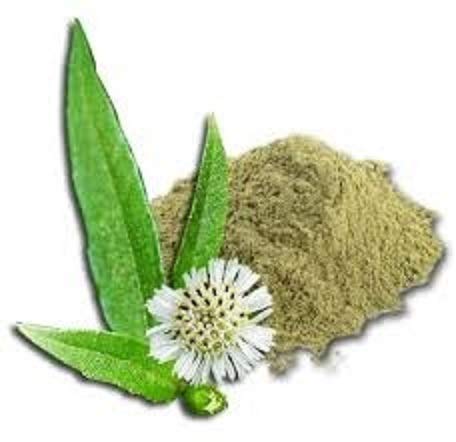 Bhringraj powder for hair growth