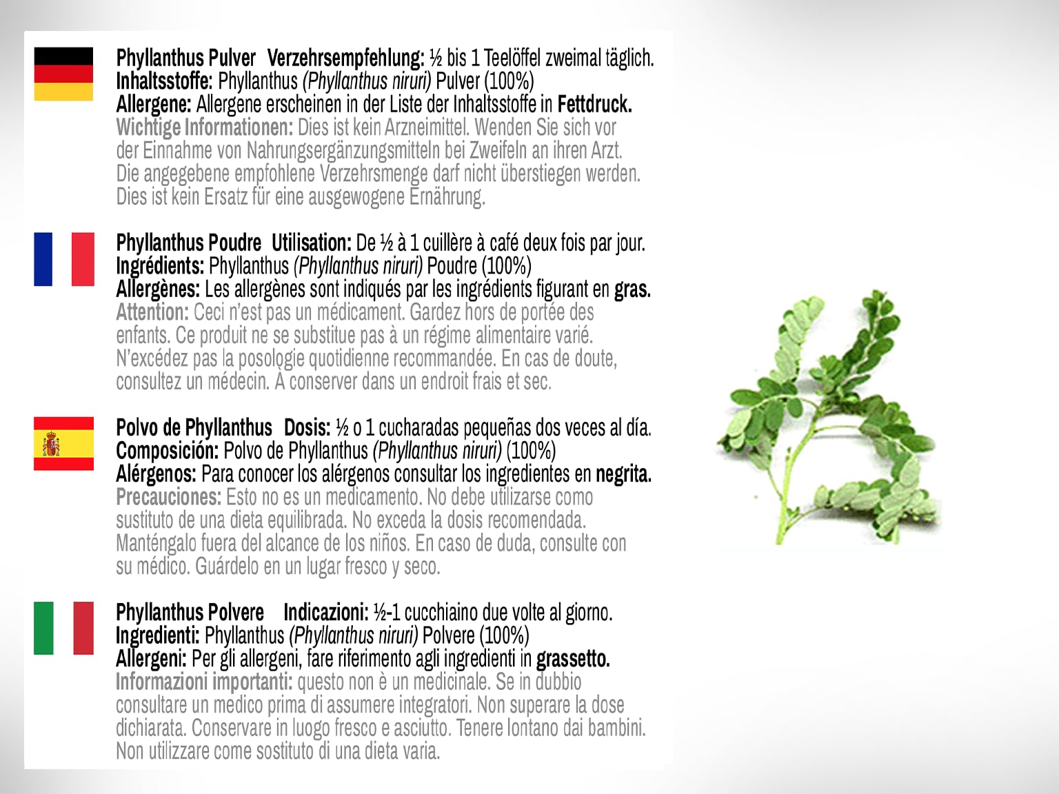 Bhumi-amla for holistic health solutions