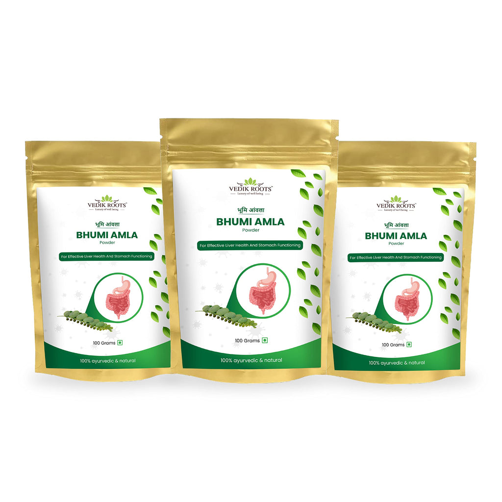 Bhumi Amla Powder antioxidant benefits