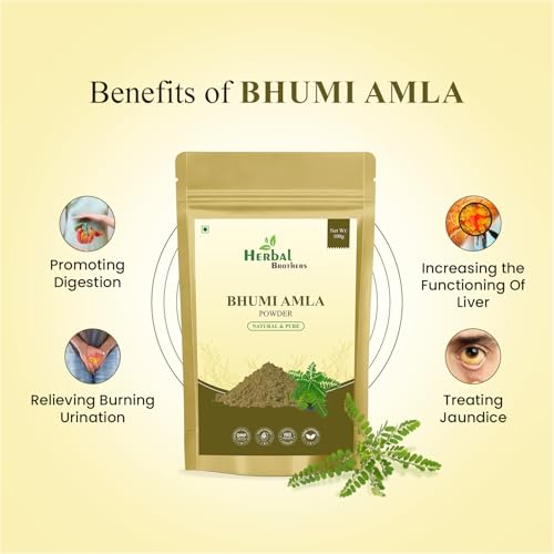 Bhumi Amla powder for overall wellness