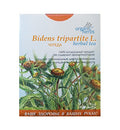 Bidens Tripartita herbal tea benefits