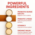 Bifidobacterium B-420 digestive health