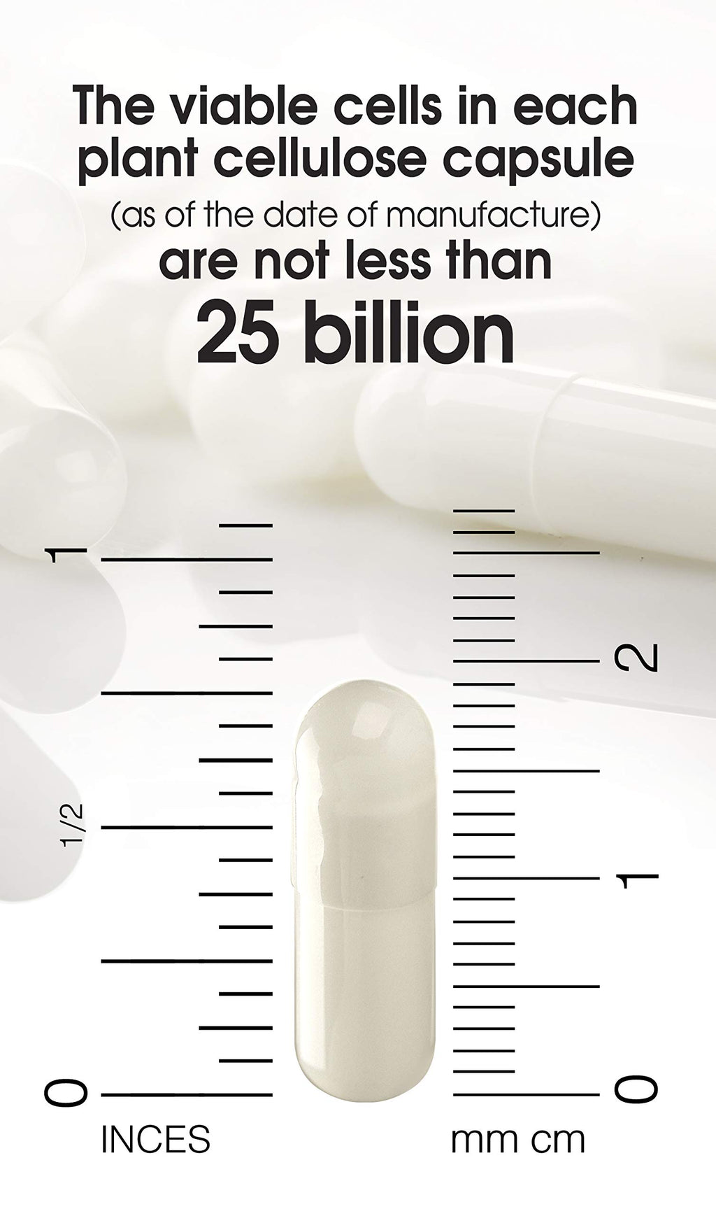 Bifidobacterium complex for balance