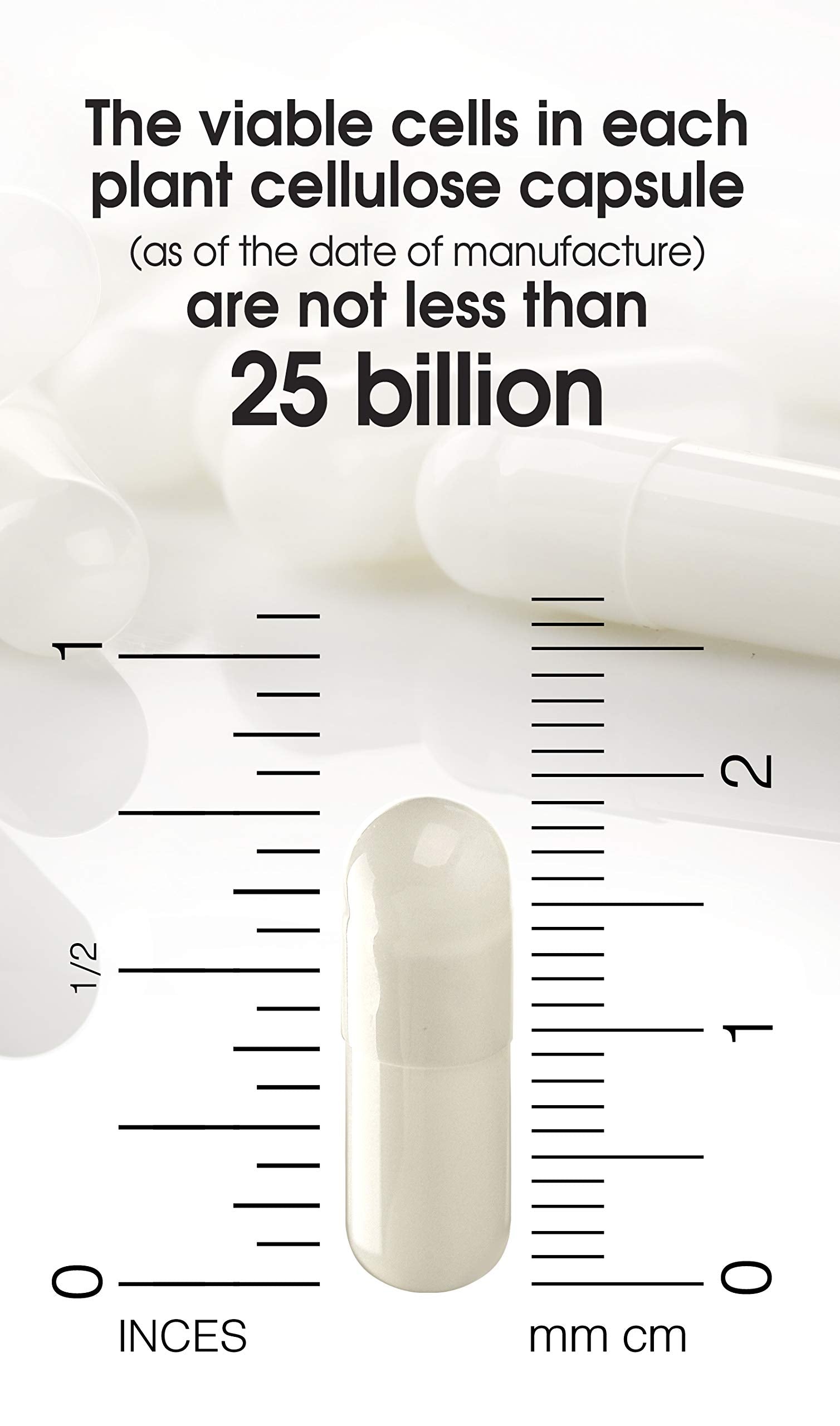 Bifidobacterium complex for balance