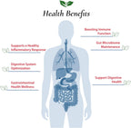 Bifidobacterium Longum for gut balance