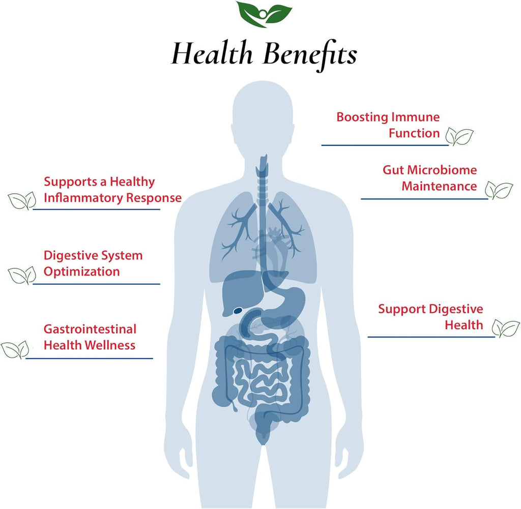 Bifidobacterium Longum immune boost