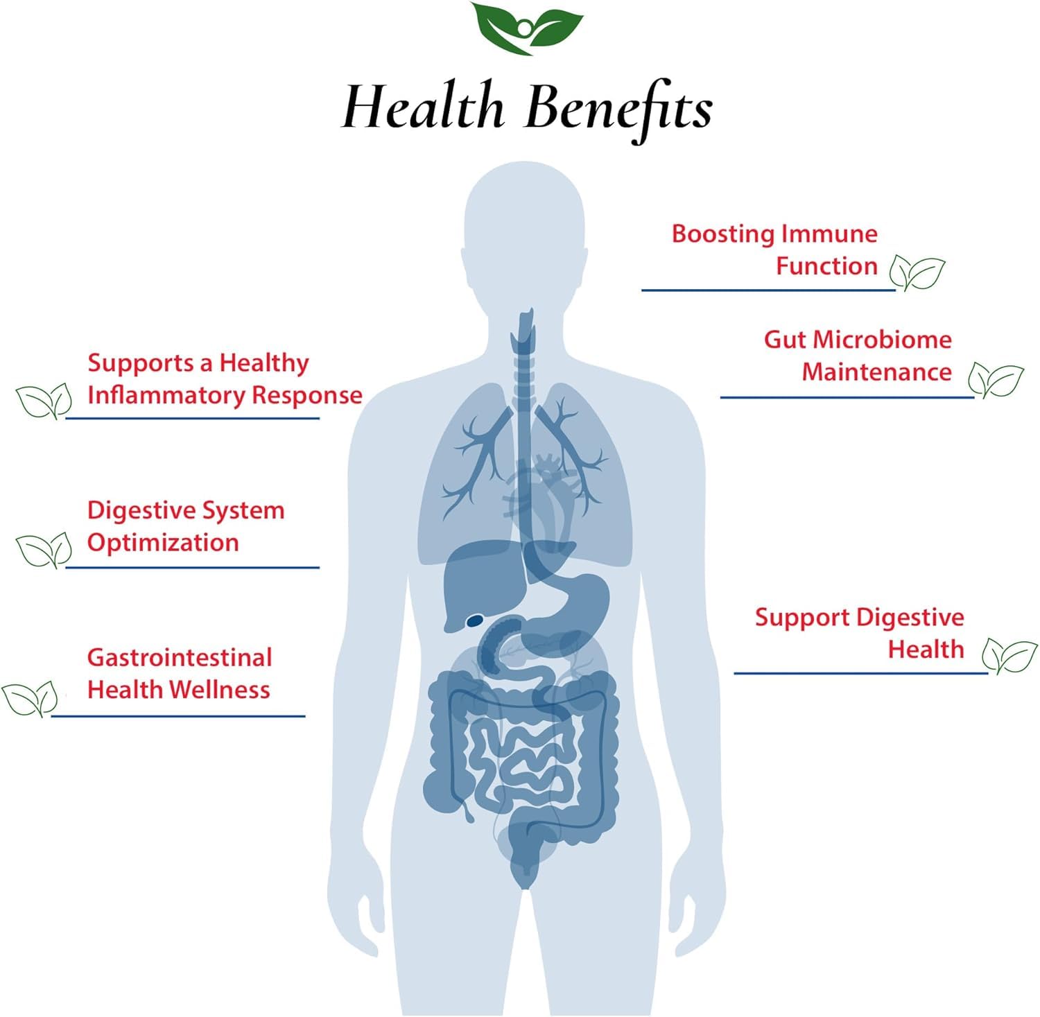 Bifidobacterium Longum immune boost