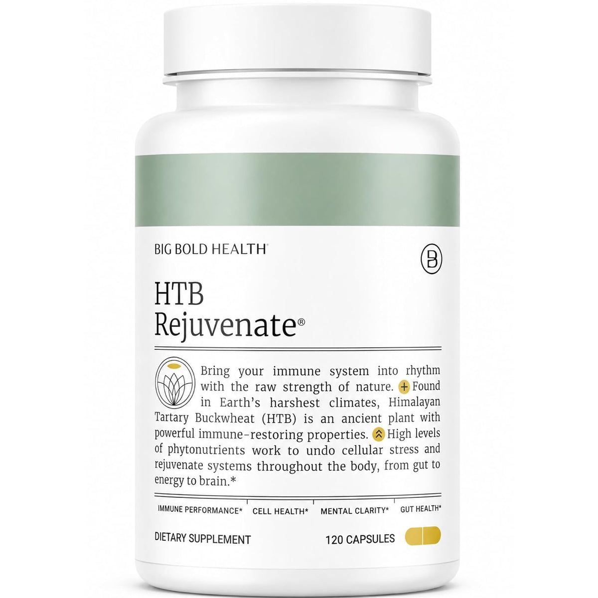 BIG BOLD HEALTH multivitamins for immunity