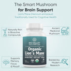 Big Valley Labs mushroom capsules