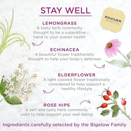 Bigelow echinacea tea for daily use