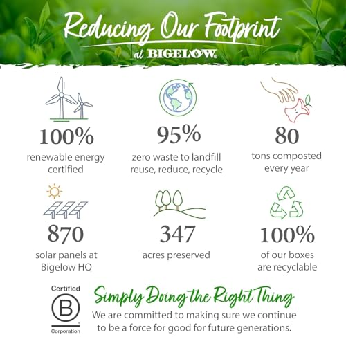 Bigelow echinacea tea immune support
