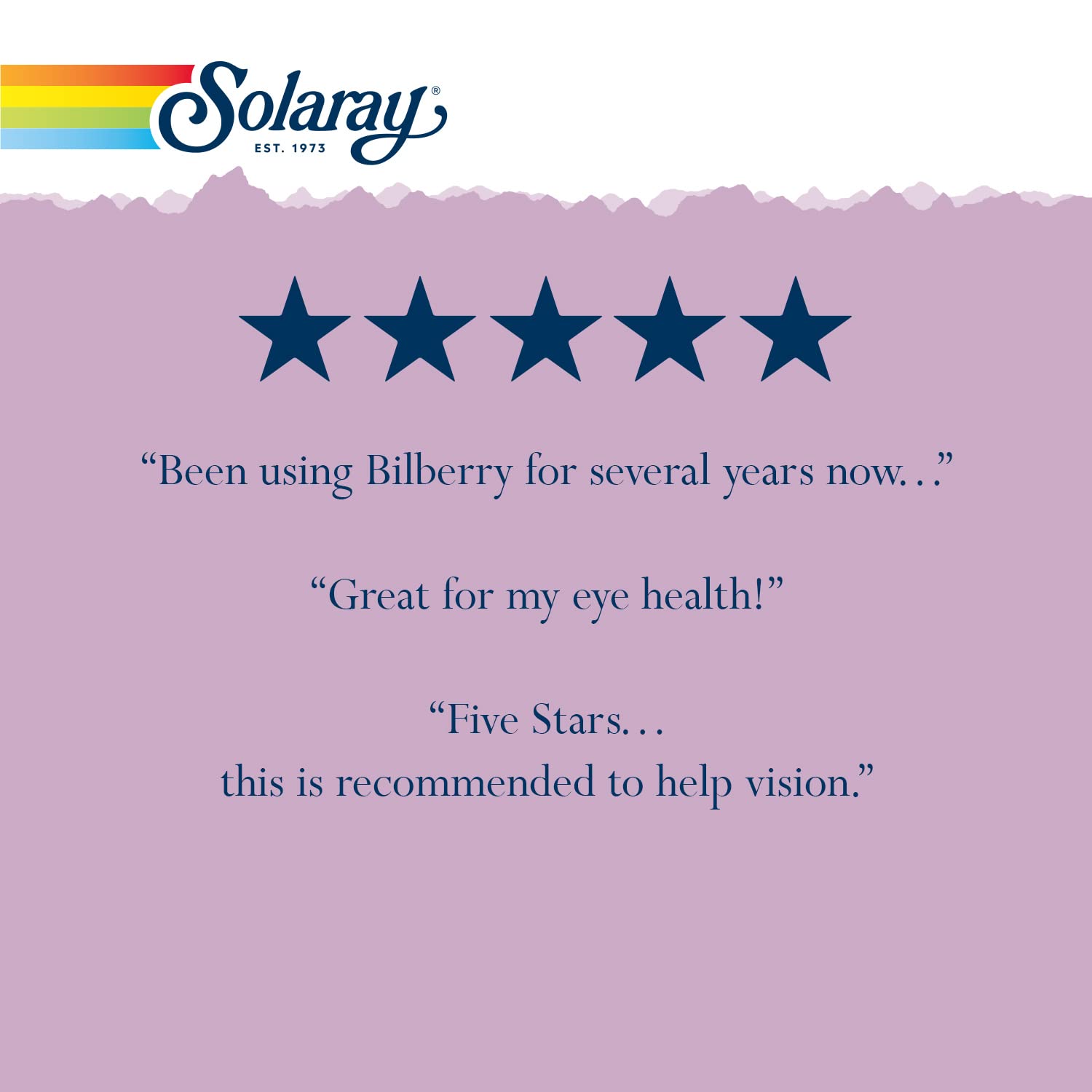 Bilberry 160 mg for healthy circulation