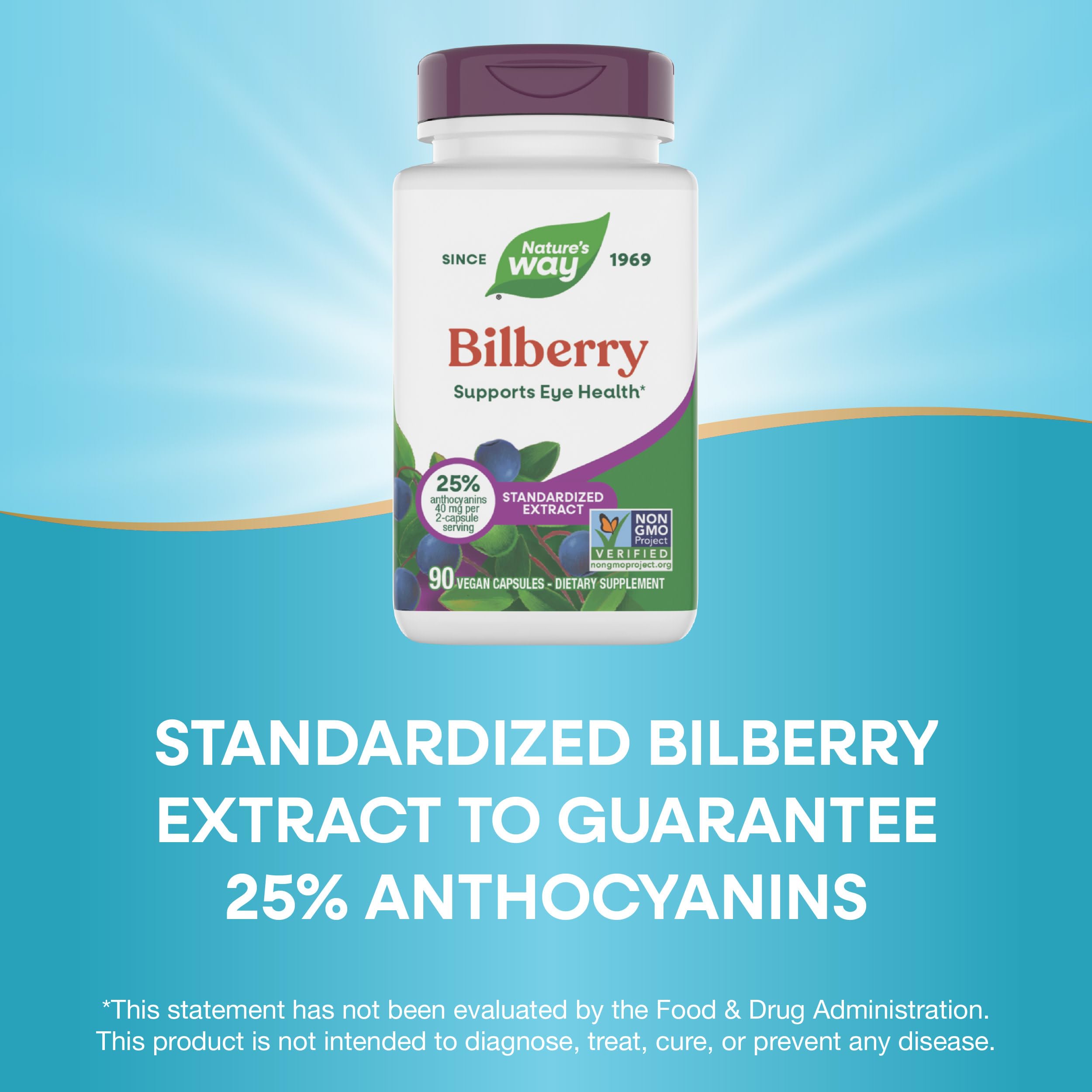 bilberry capsules for antioxidant support