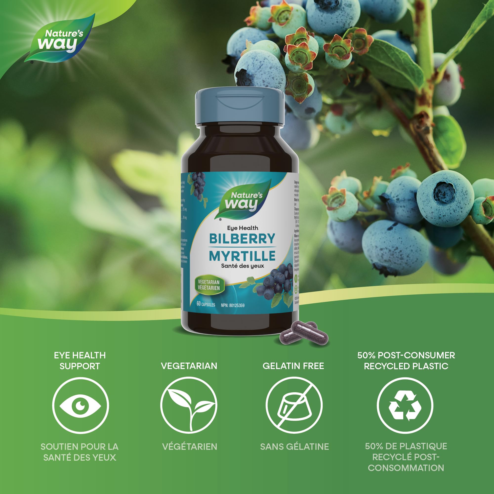 bilberry capsules for antioxidant support