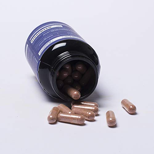 bilberry capsules for vision improvement